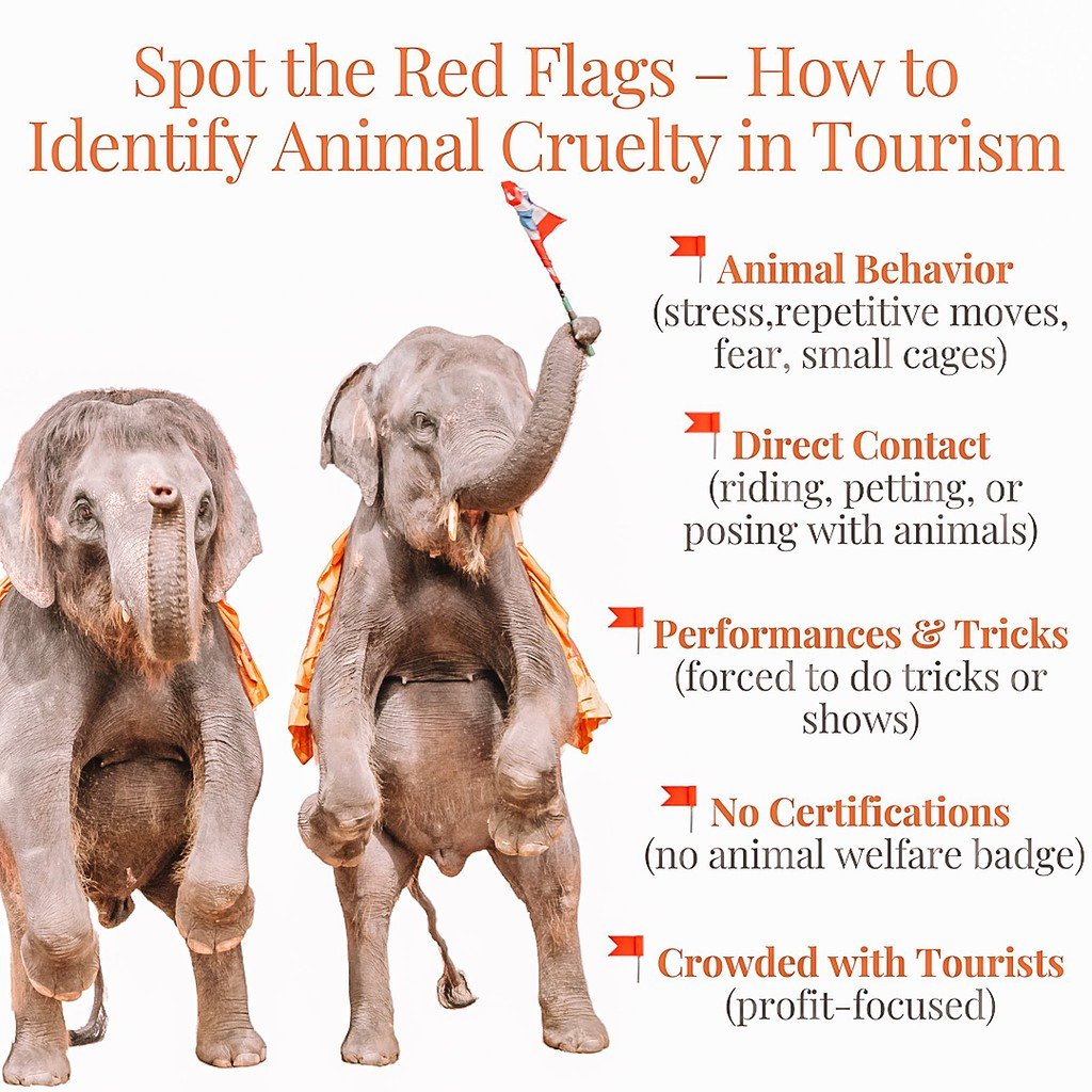 Animal Tourism: 200 Ethical Examples vs. Abusive Attractions - GlobeGal ...
