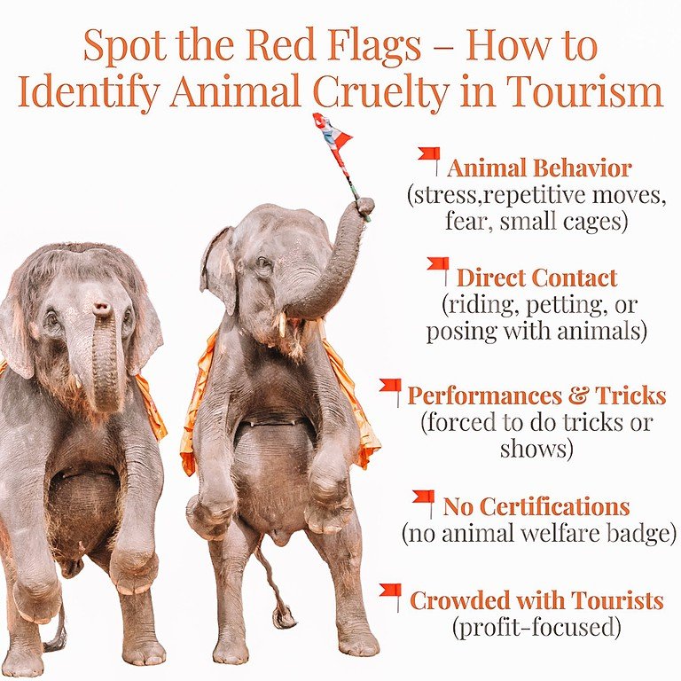 Animal Tourism: 200 Ethical Examples vs. Abusive Attractions - GlobeGal ...